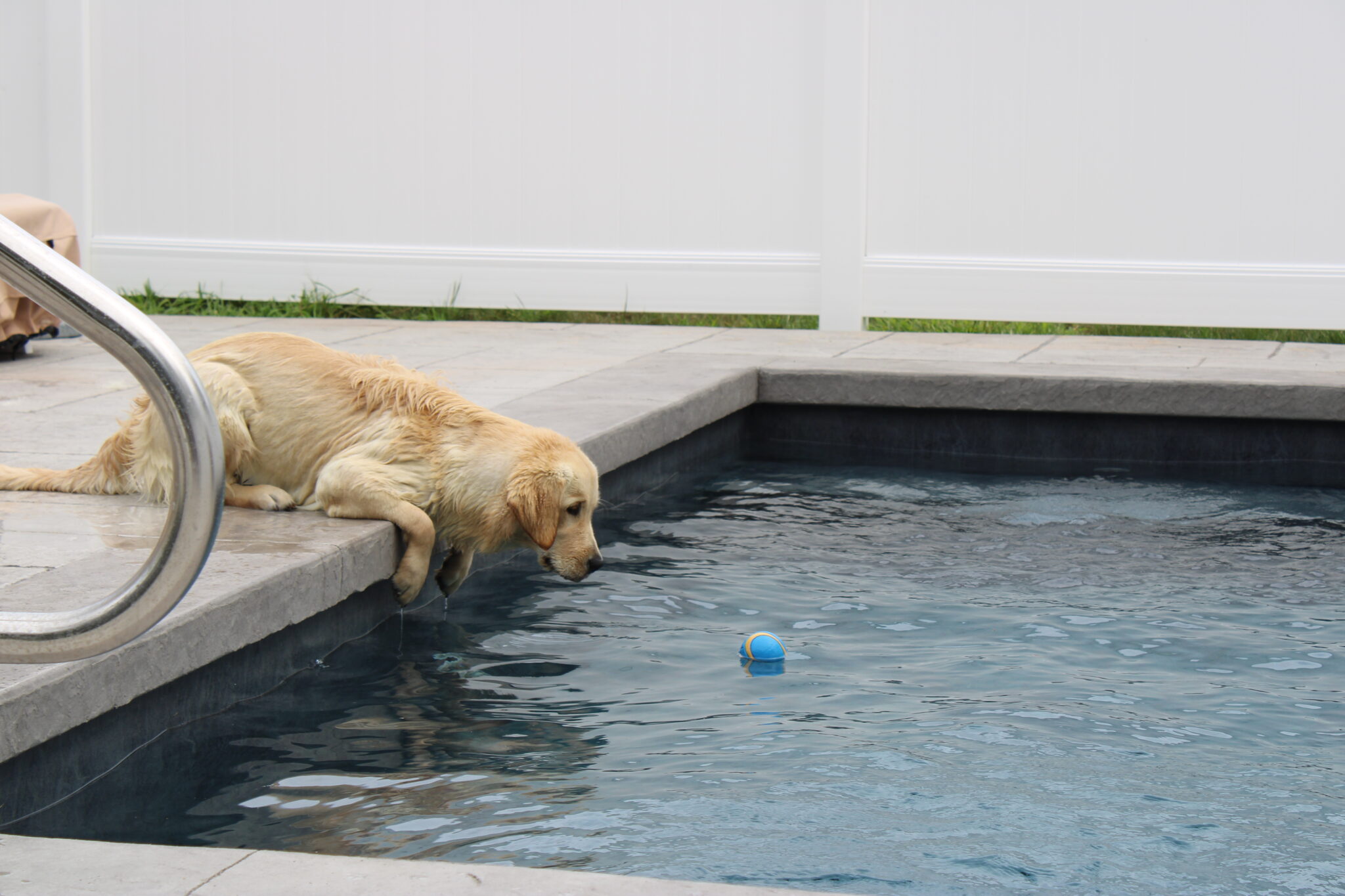 Plunge Pools For The Whole Family | Plunge Pools